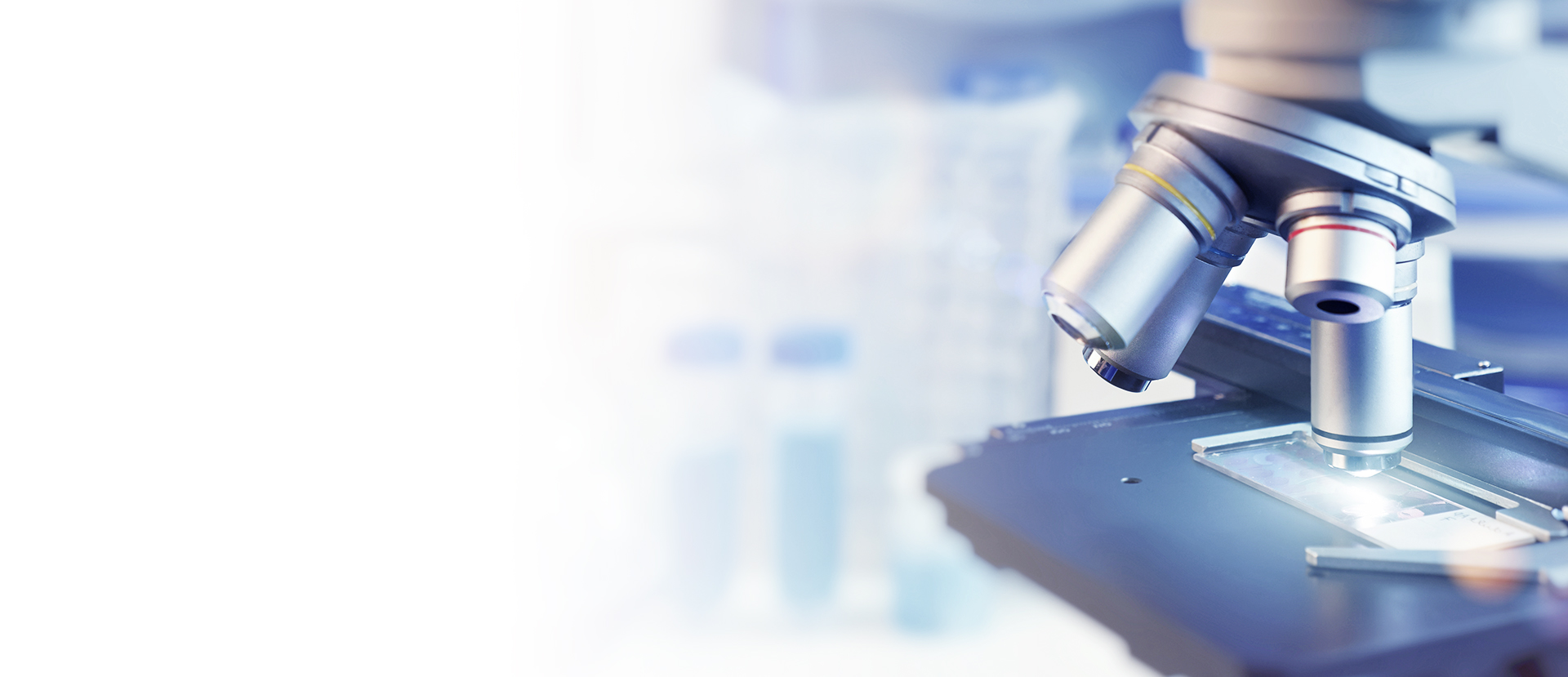 Inicio - Active Laboratorios